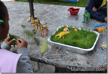 Growing Grass